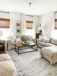 The Best Neutral Area Rugs - Micheala Diane Designs